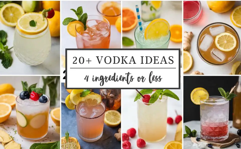 20+ Easy Vodka Recipes
