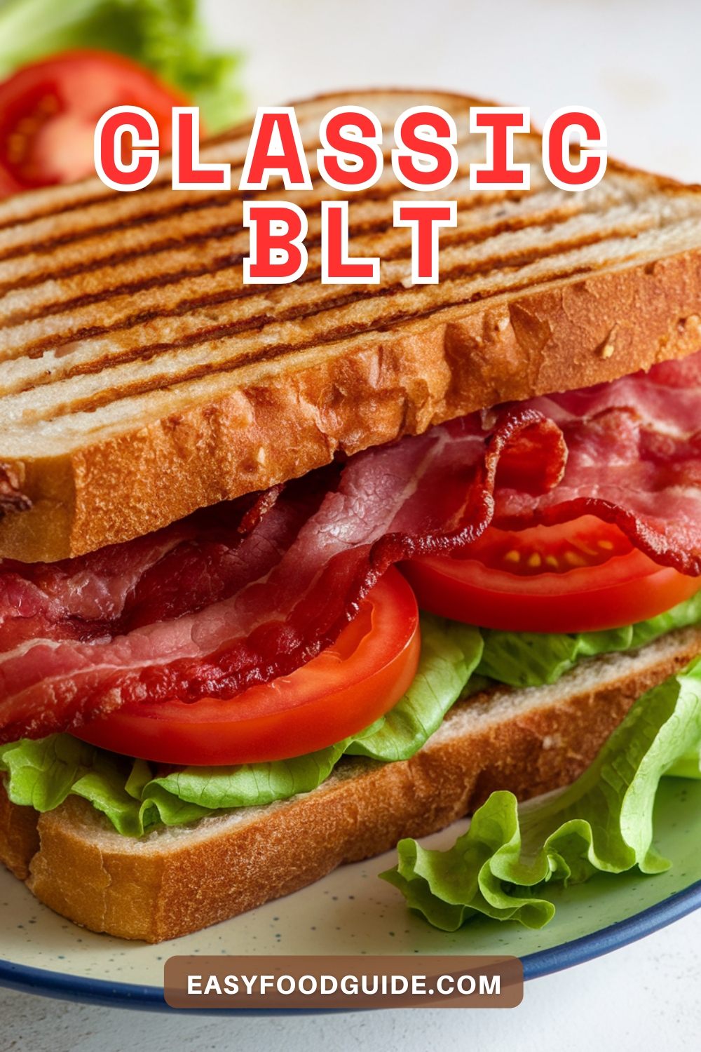 40+ Most Delicious Lunch Sandwiches - Easy Food Guide